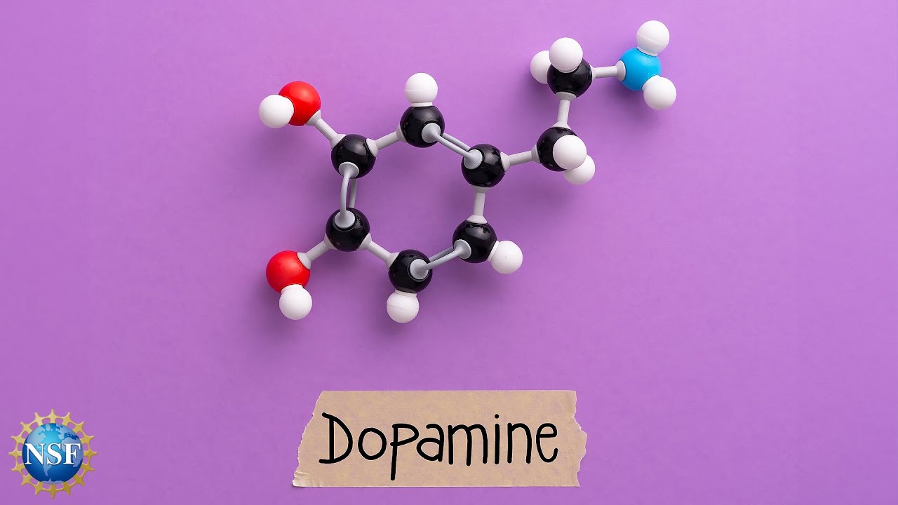 New Dopamine Blood Test Detects Cancer & Neurological Disorders