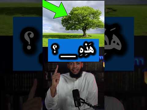 ARABIC WORDS QUIZ 31 - How to say: tree 🌳#theandalusiway