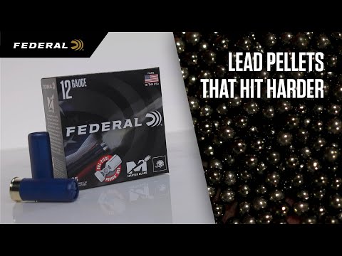 Master Class: Lead Pellets That Hit Harder
