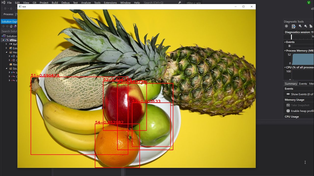 Object Detection using Tensorflow Lite C API on Windows