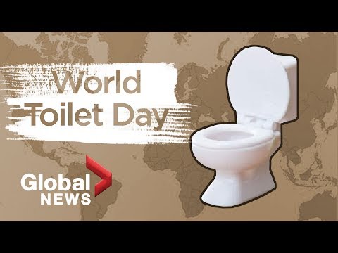 What is World Toilet Day?
