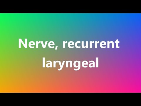 Nerve, recurrent laryngeal - Medical Meaning and Pronunciation