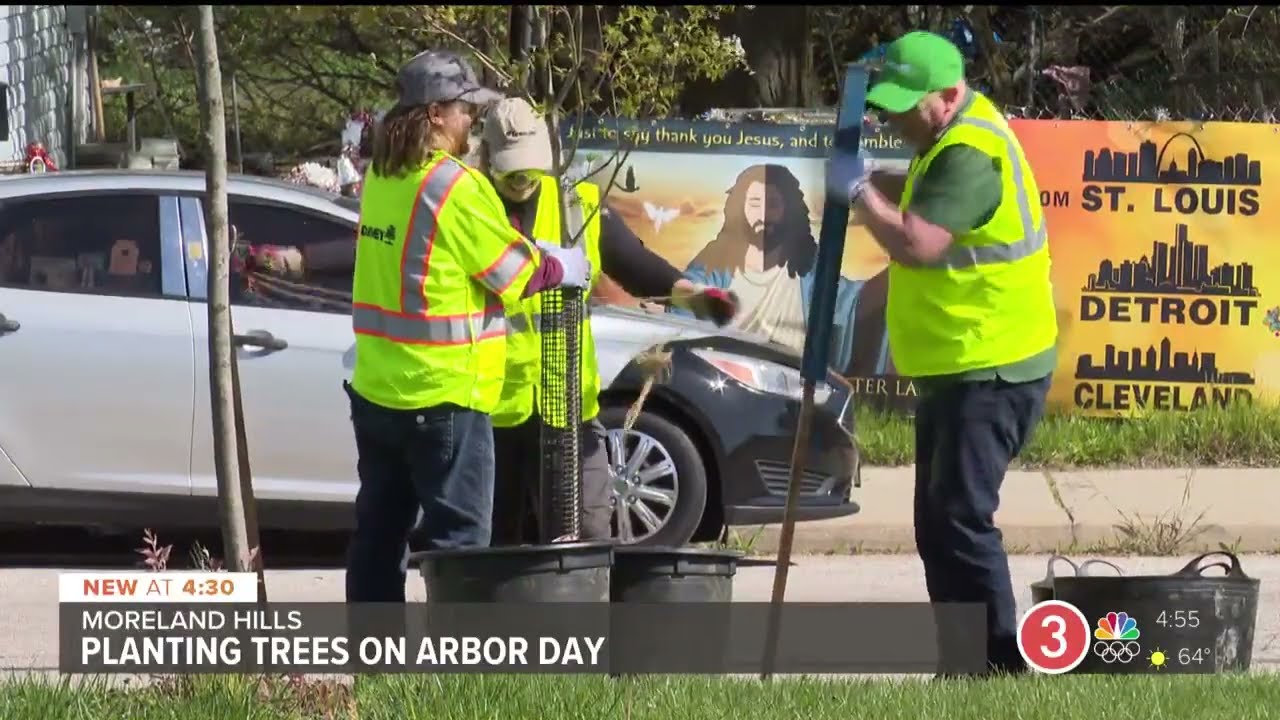 Planting Trees on Arbor Day