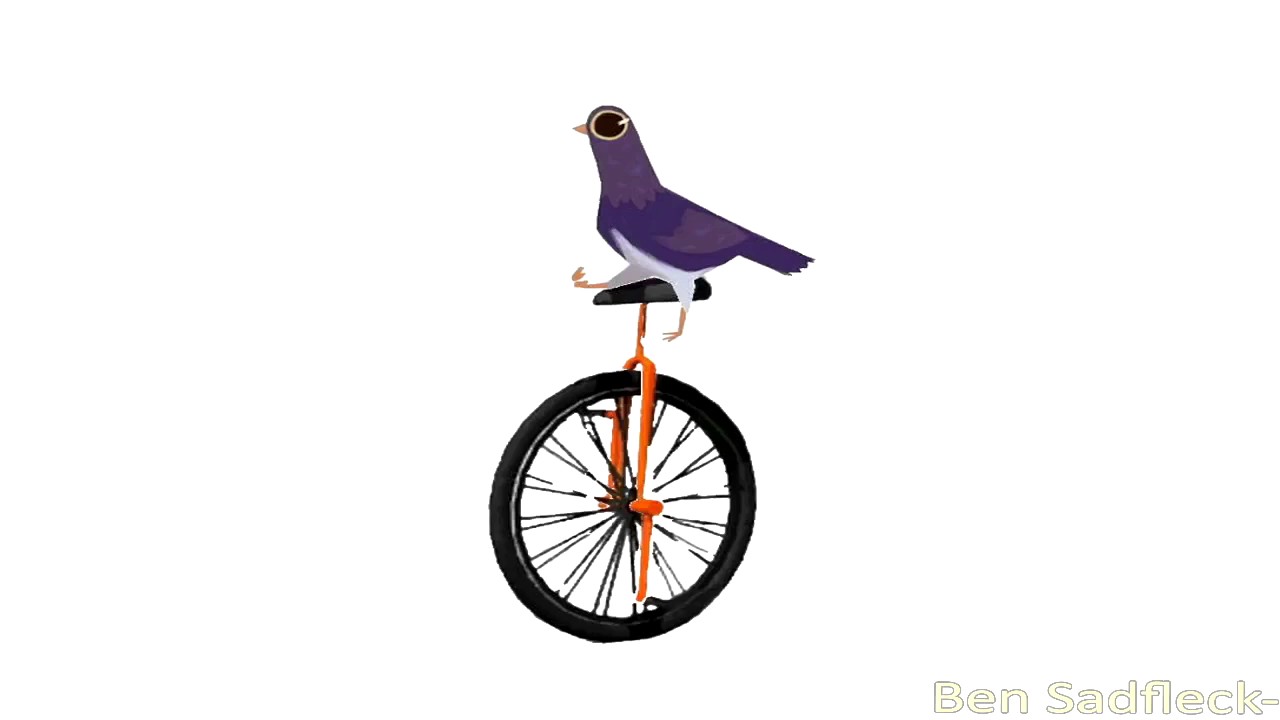 TRASH DOVE MEME