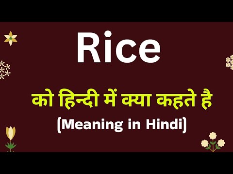 Rice meaning in hindi || rice ka matlab kya hota hai || word meaning english to hindi