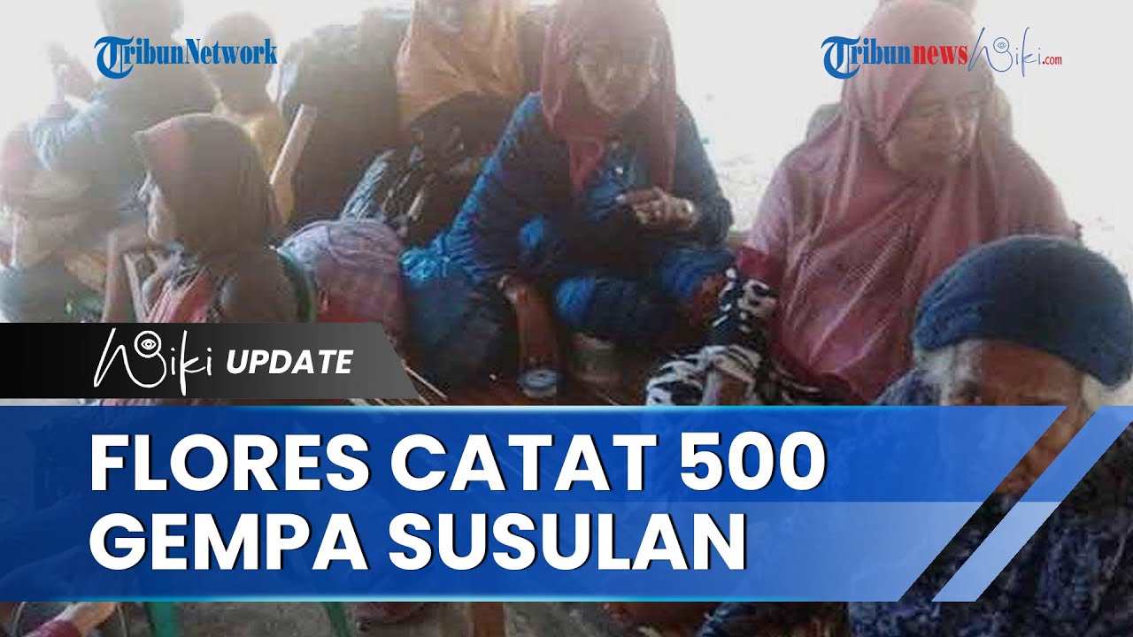 Pasca-gempa Bumi di Larantuka NTT, Pulau Flores Sudah Diguncang 500 ... Pasca-gempa Bumi di Larantuka NTT, Pulau Flores Sudah Diguncang 500 ...