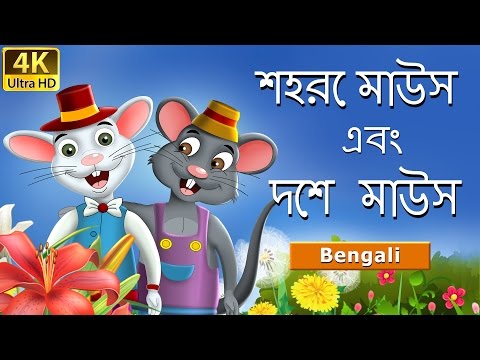 শহরে মাউস এবং দেশ মাউস | Town Mouse and Country Mouse in Bengali | @BengaliFairyTales