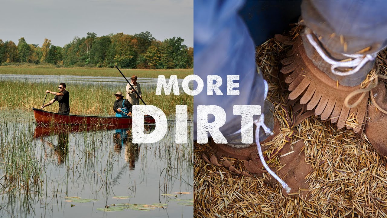 How to Harvest Wild Rice Harvest in Minnesota | More DIRT: The North | Huckberry