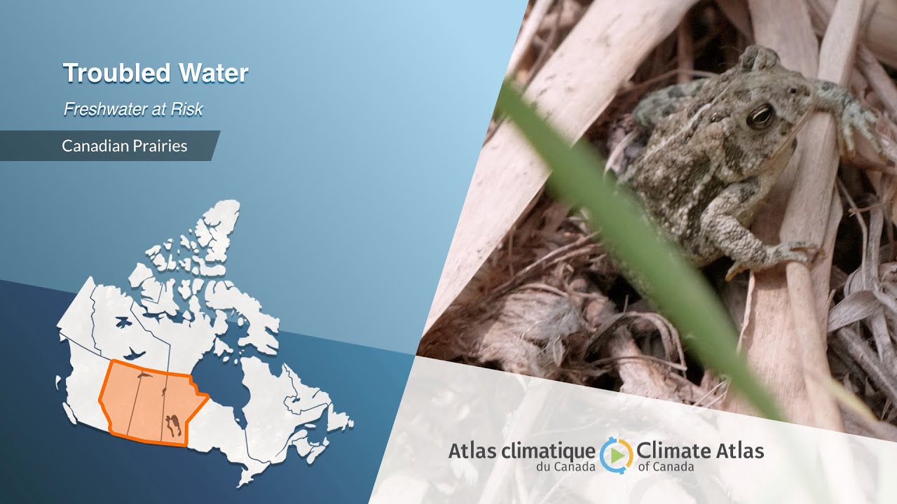 Troubled Water: Freshwater at Risk