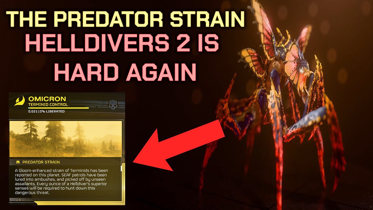 BUGS HAVE EVOLVED! The Predator Strain OUTBREAK! Helldivers 2 Loadout Tips
