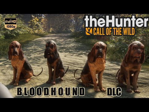 Steam Community :: Video :: THEHUNTER COTW NEWS #161 BLOODHOUND DLC ...