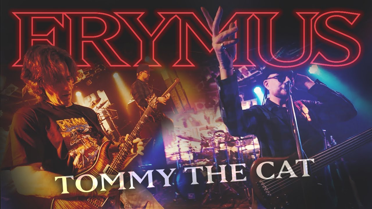 FRYMUS - Tommy The Cat - LIVE