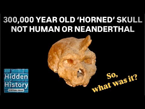 Mysterious 300,000 year old ‘horned’ humanoid skull is neither human ...