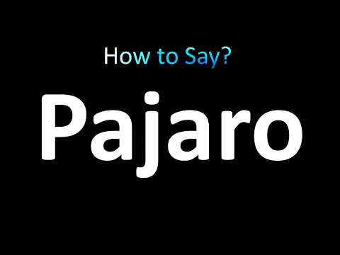 How to Pronounce Pajaro (Spanish, Bird)