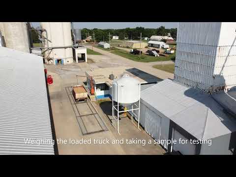 Harper, Kansas Wheat Harvest 2023 - Unloading at the Grain Elevator
