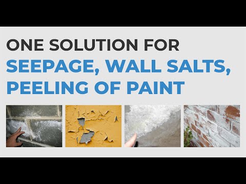 Wall Dampness Treatment, Dampness Treatment Contractors in India