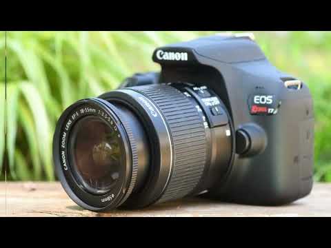 Canon EOS Rebel T7 📸 | Best Budget DSLR for Beginners in 2025?