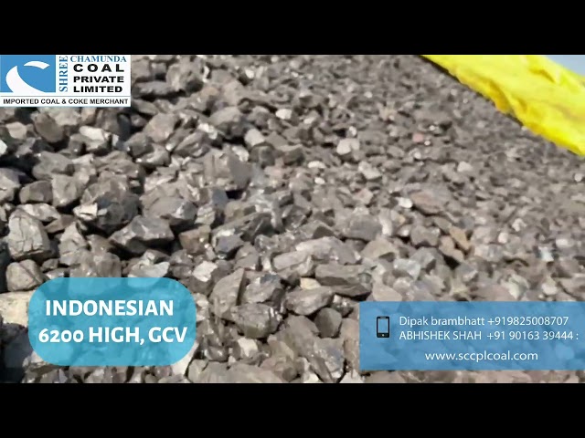 Steam Coal - Indonesian Imported Coal Wholesale Trader from Ahmedabad