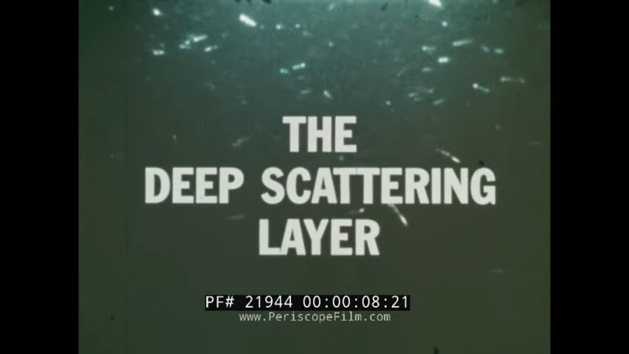 Exploring the Deep Scattering Layer: Unveiling the Mysteries of the ...