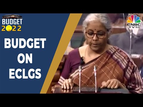 BUDGET ON ECLGS | CNBC-TV18