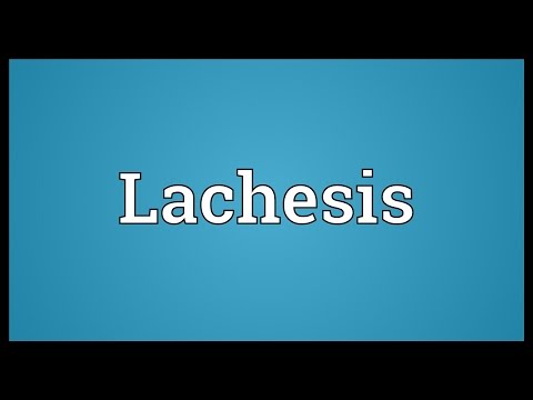 Lachesis Meaning