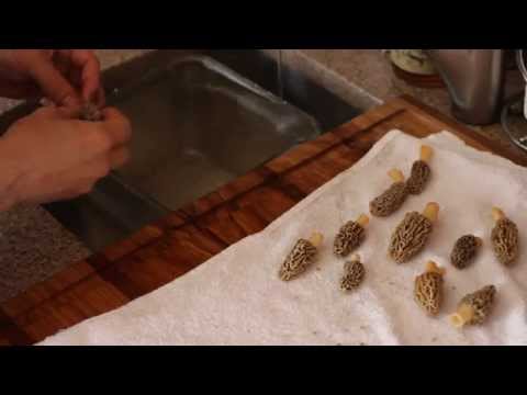 Cleaning morels whole