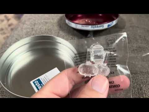 Fit, Instructions, Bathing/Water Info, and Review of Seresto Flea Collar