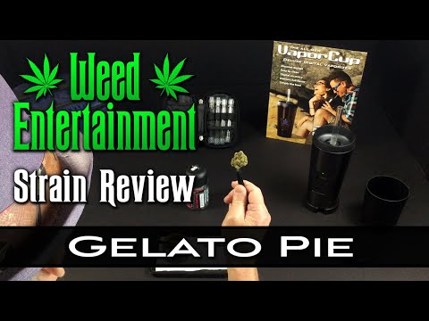 Gelato Pie Face Strain – A1Cannabis