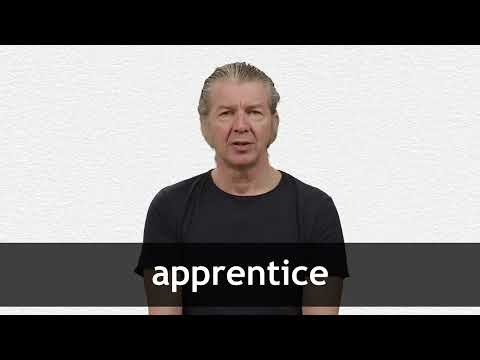 APPRENTICE definition in American English | Collins English Dictionary