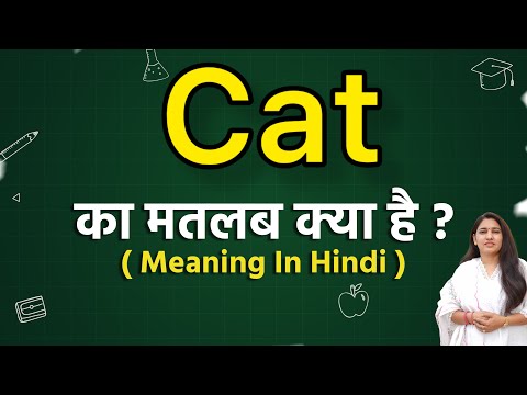 Cat meaning in hindi | Cat ka matlab kya hota hai | Word meaning