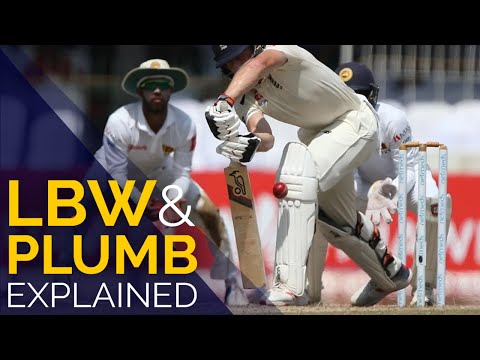 LBW Cricket Laws and 'Plumb' Explained