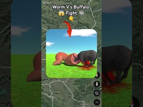 Worm V's Buffalo 🐃😱 on google maps and google earth 🌎 #shots #hrgoogleearth
