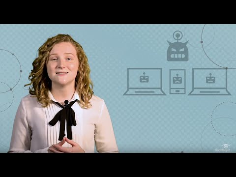 What is a Botnet? How Does a Botnet Work?