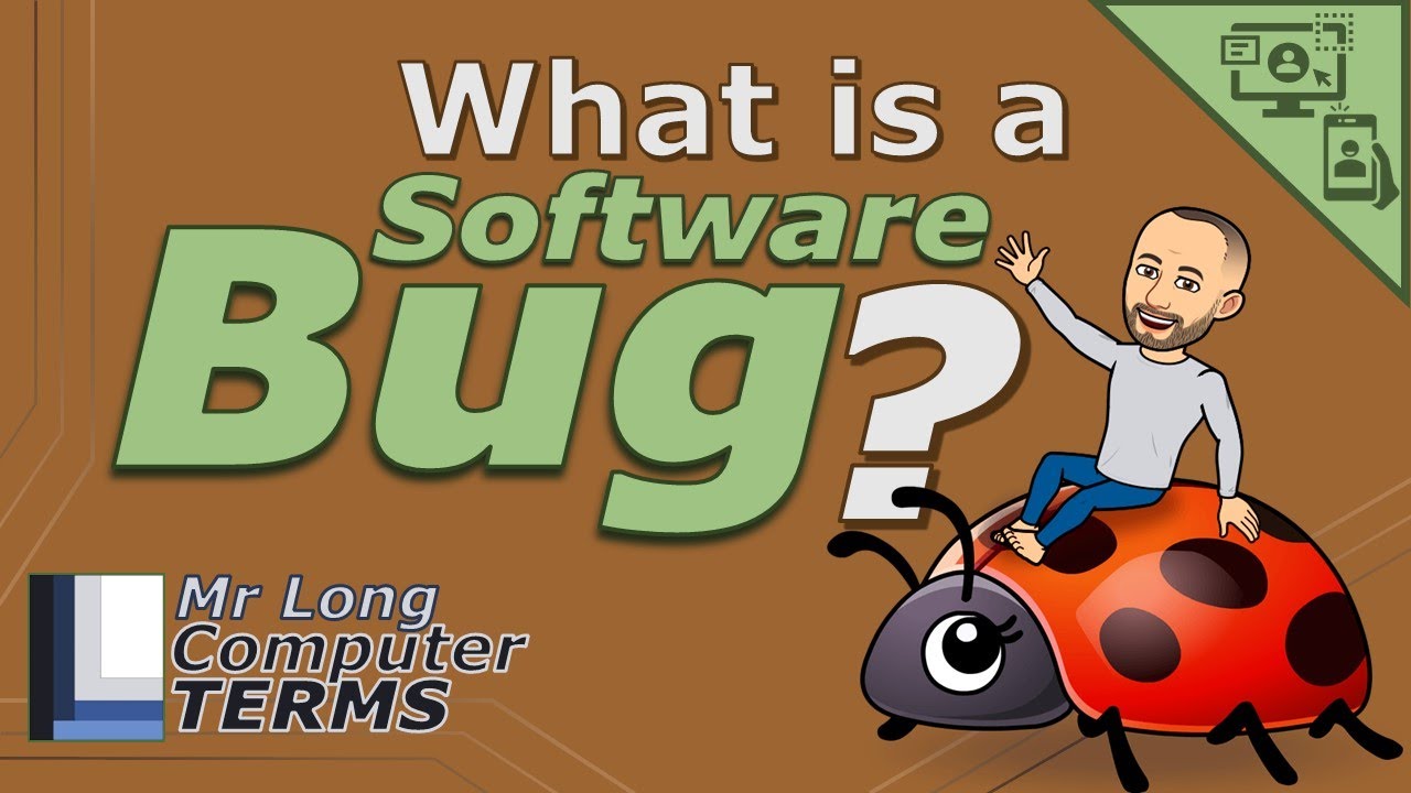 Mr Long Computer Terms | What is a Software Bug?