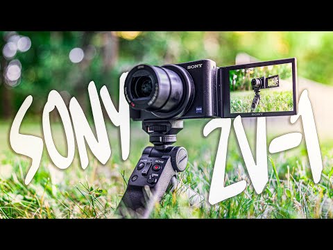 Sony ZV-1: Perfect little camera