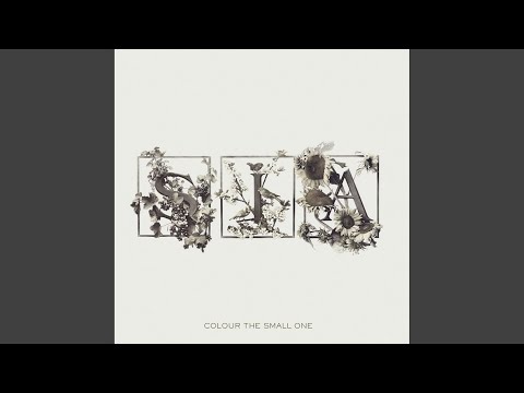 Colour The Small One – Sia