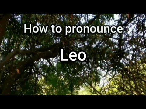 How to Pronounce Leo
