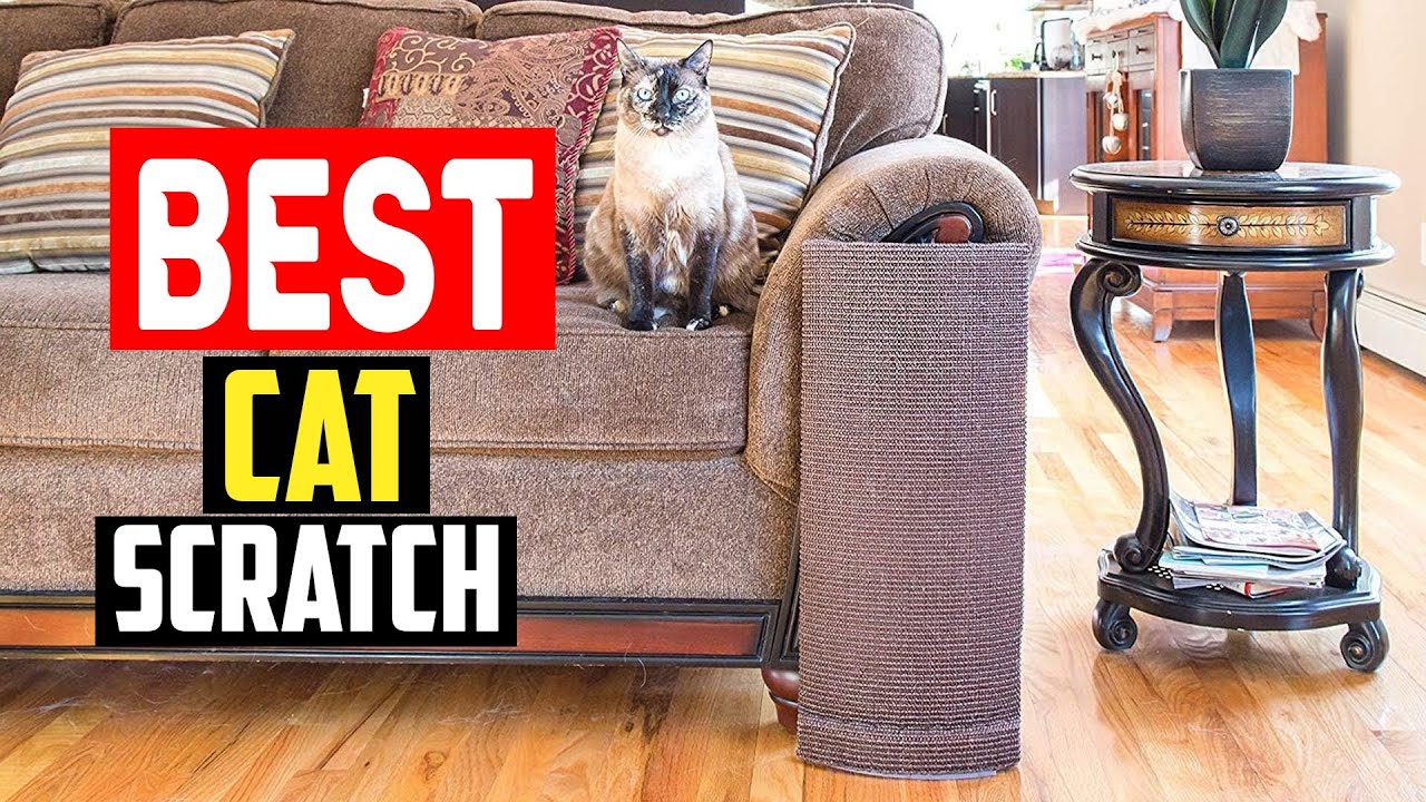 ✅Top 5 Best Cat Scratch Furniture Protectors of 2025