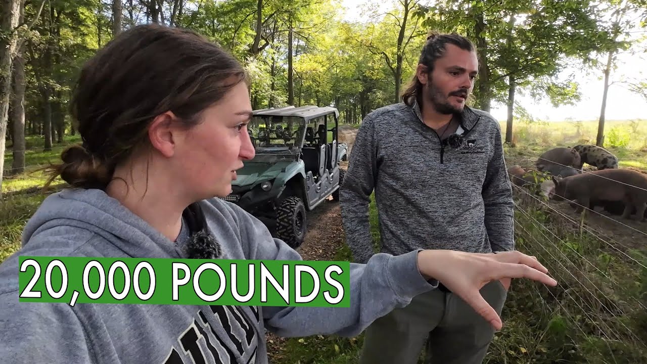 They Ship 20,000 Pounds of Meat Each Week!! (Seven Sons Farm)