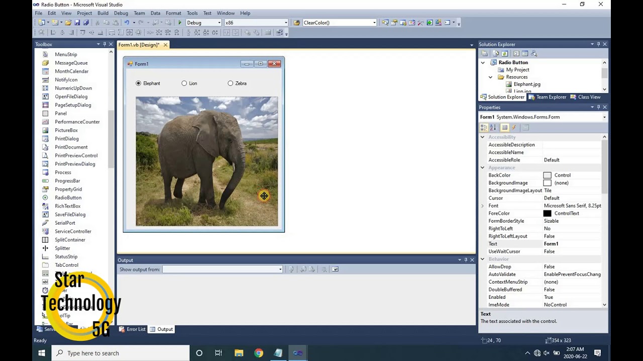 Visual Basic 25- Radio Button  How To Use Radio Button