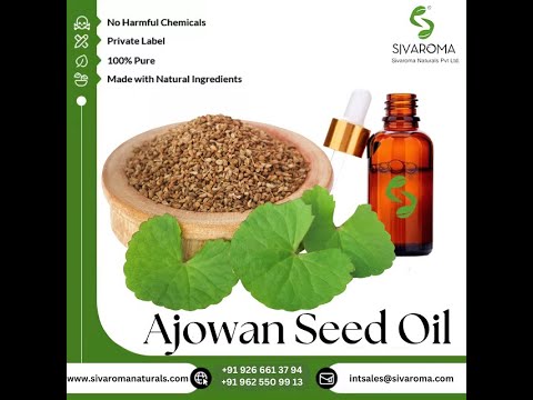 Ajowan Oil - Ajwain Oil Latest Price, Manufacturers & Suppliers