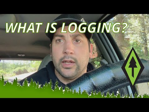 What is logging?