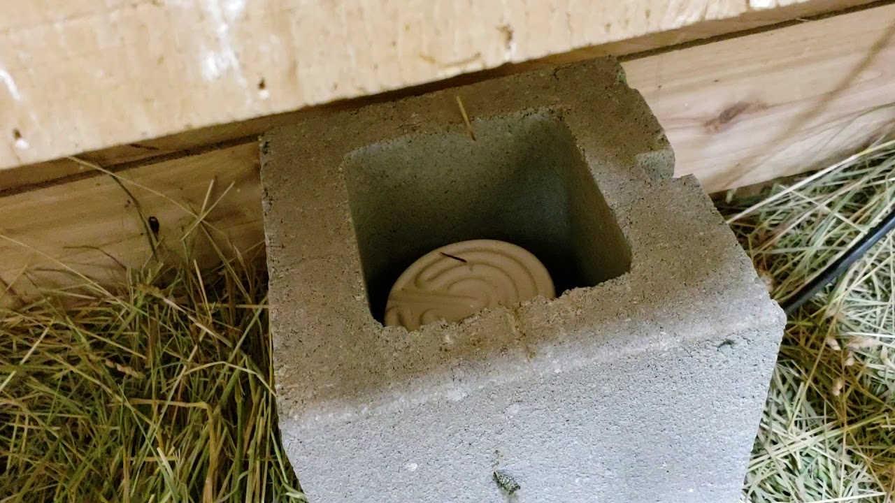 Backyard flock, chapter 1, construction,