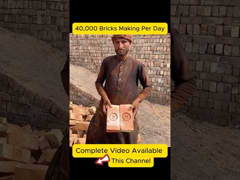 automatic bricks making machine || 80000 per day making capacity ! Punjab ! new technology
