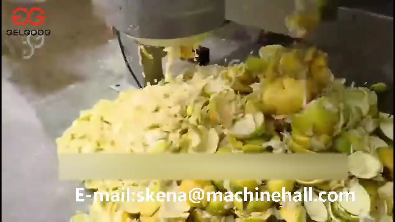 Industrial Citrus Juicer Machine|Industrial Fruit Juice Extractor Machine