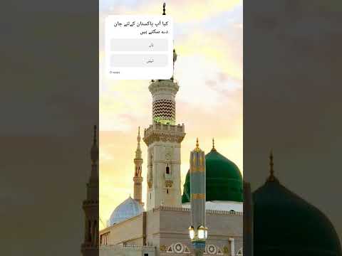 Qalbi Fil Madinah