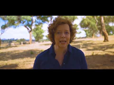 Disaster Mental Health Hub | PREPARE | Phoenix Australia