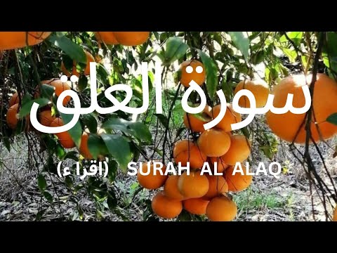 Surah Al Alaq 96 ٩٦ سورة العلق with a beautiful Recitation by