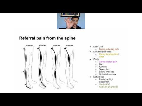 PX 4-Step Approach to The Common Back Pain Problem