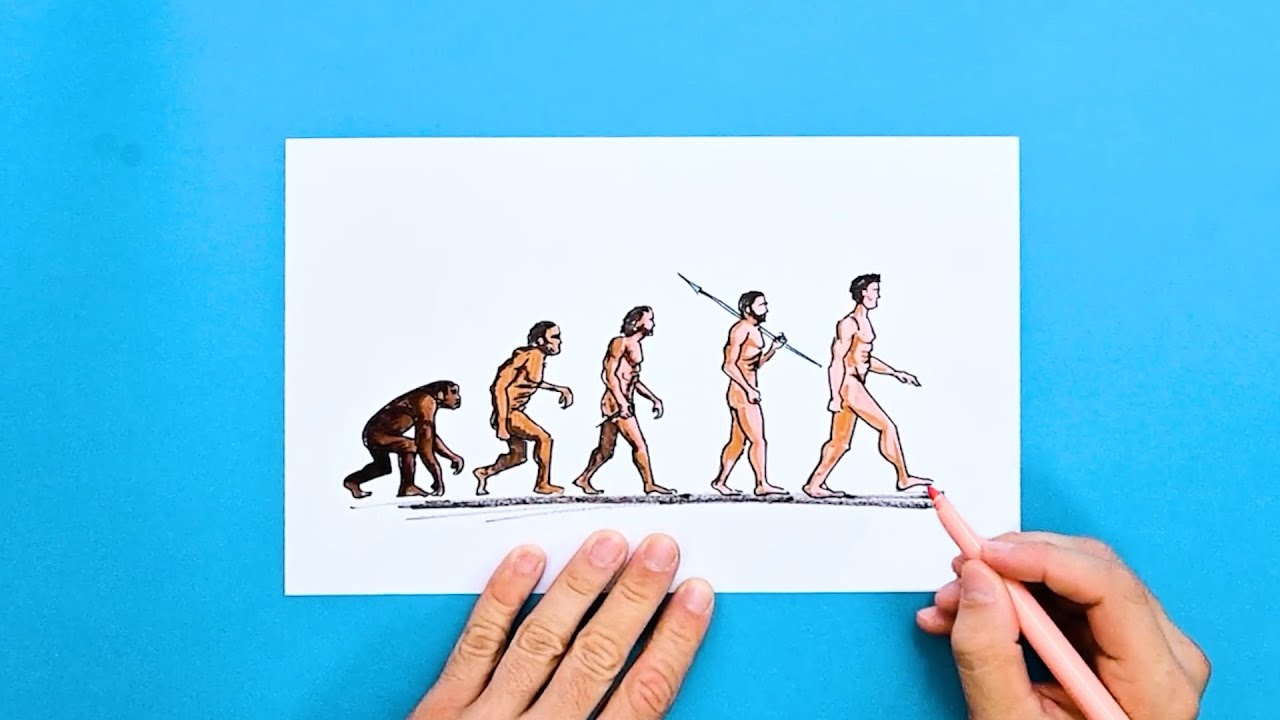 How to draw Evolution of Man / Human Evolution